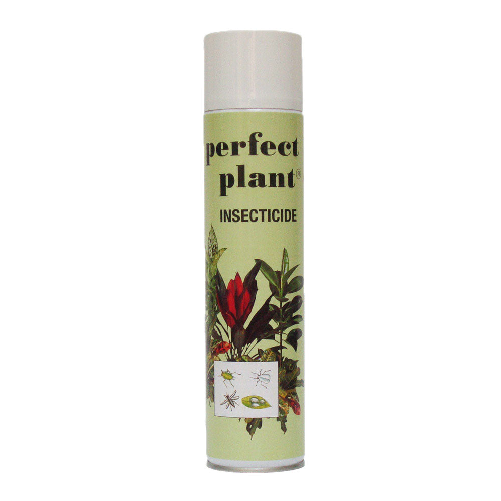 Perfects Plant Insecticide 600 ml Dirty Protect Plants Harmful Pests i ...